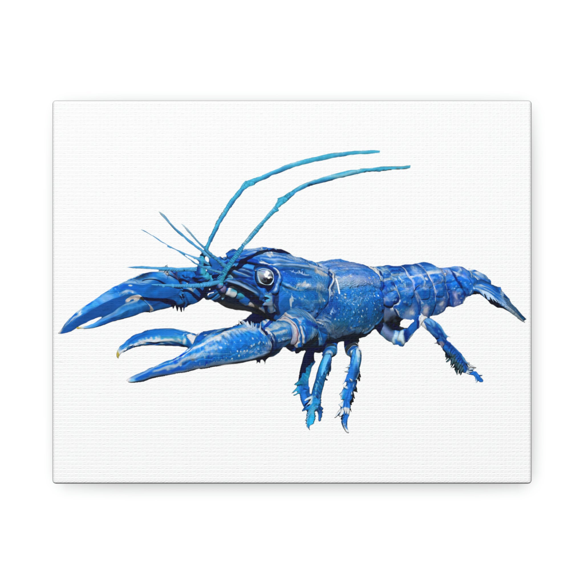 Trinx Blue Crawfish Stretched - Illustration on Canvas | Wayfair