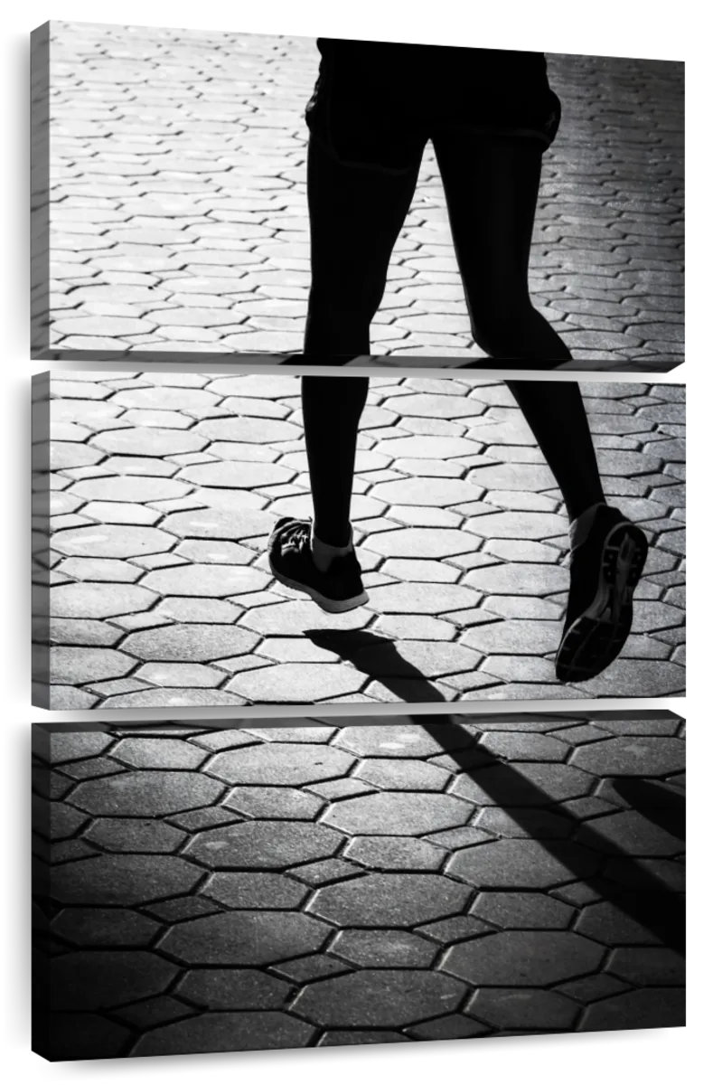 Ebern Designs Sireci BW Jogging | Wayfair