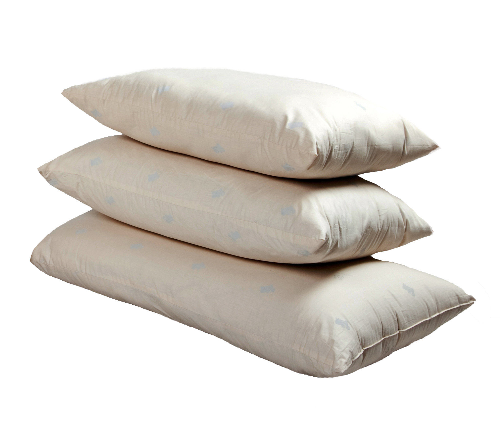 Sleep & Beyond Grand oreiller en laine mérinos Triumph - Wayfair Canada