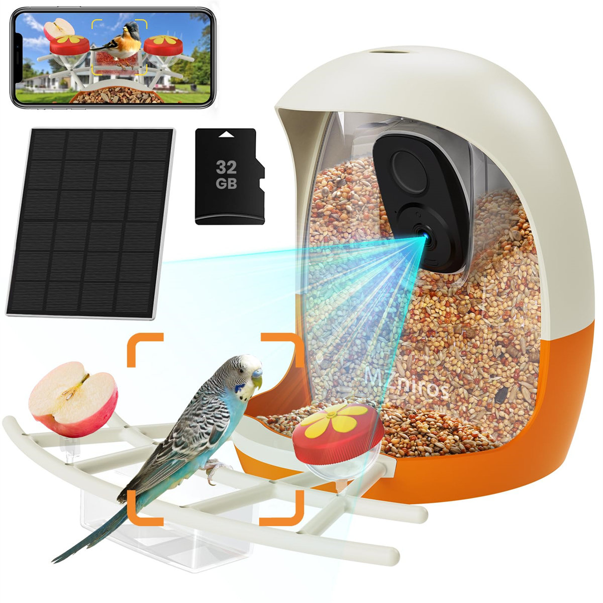 COBEKY AI Identify Bird Video Live Stream Camera With Instant Arrival ...