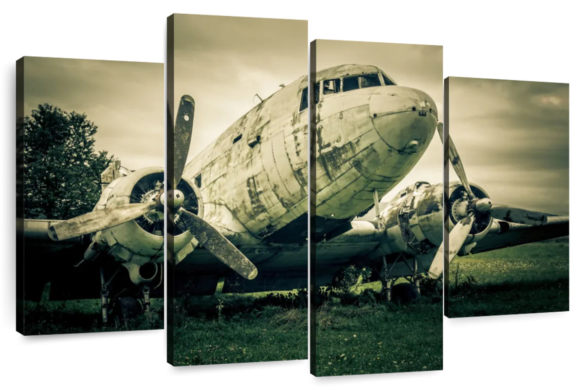 Ebern Designs Mehar Abandoned War Aircraft - Wayfair Canada