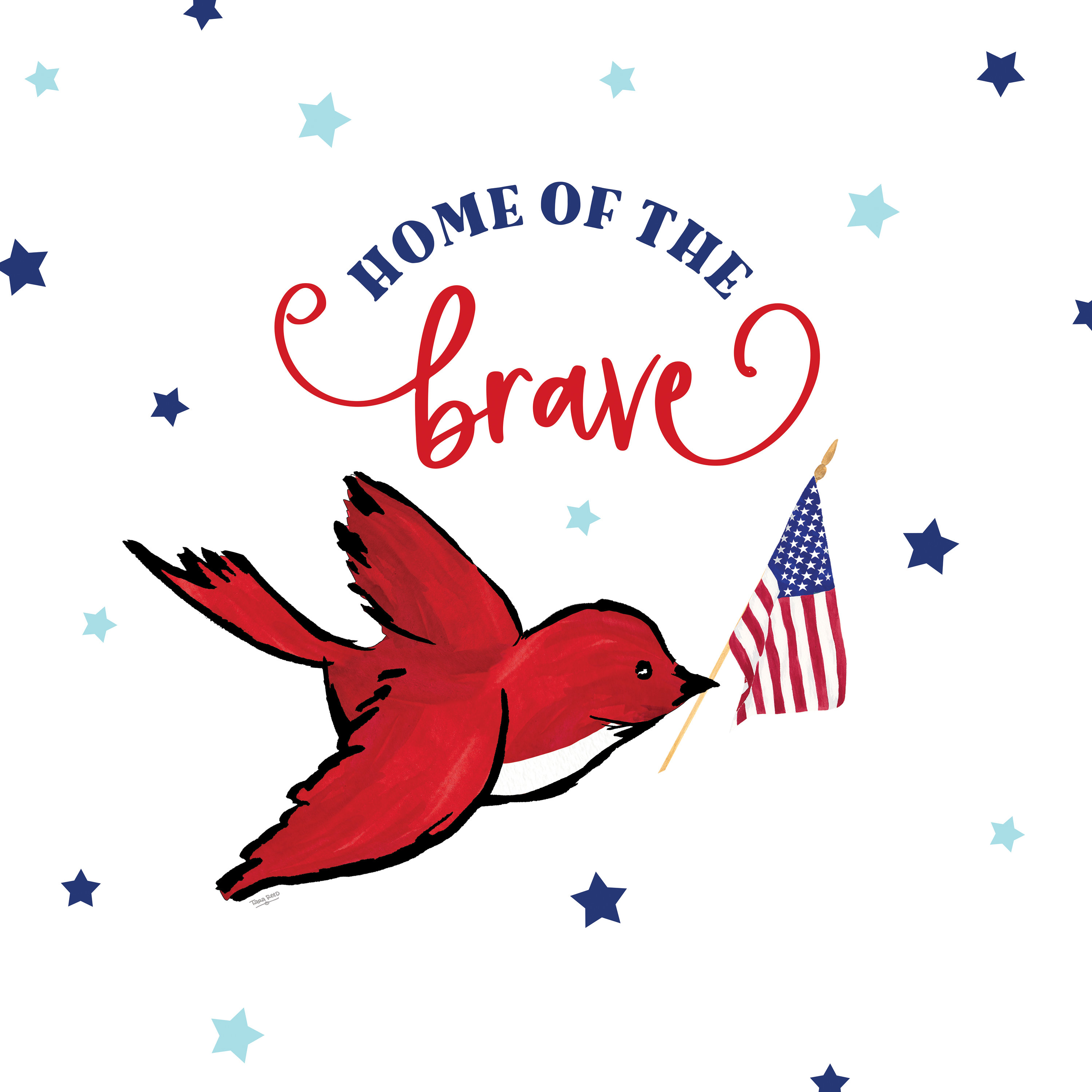 August Grove® Ayvia Freedom Takes Flight IX by Tara Reed | Wayfair