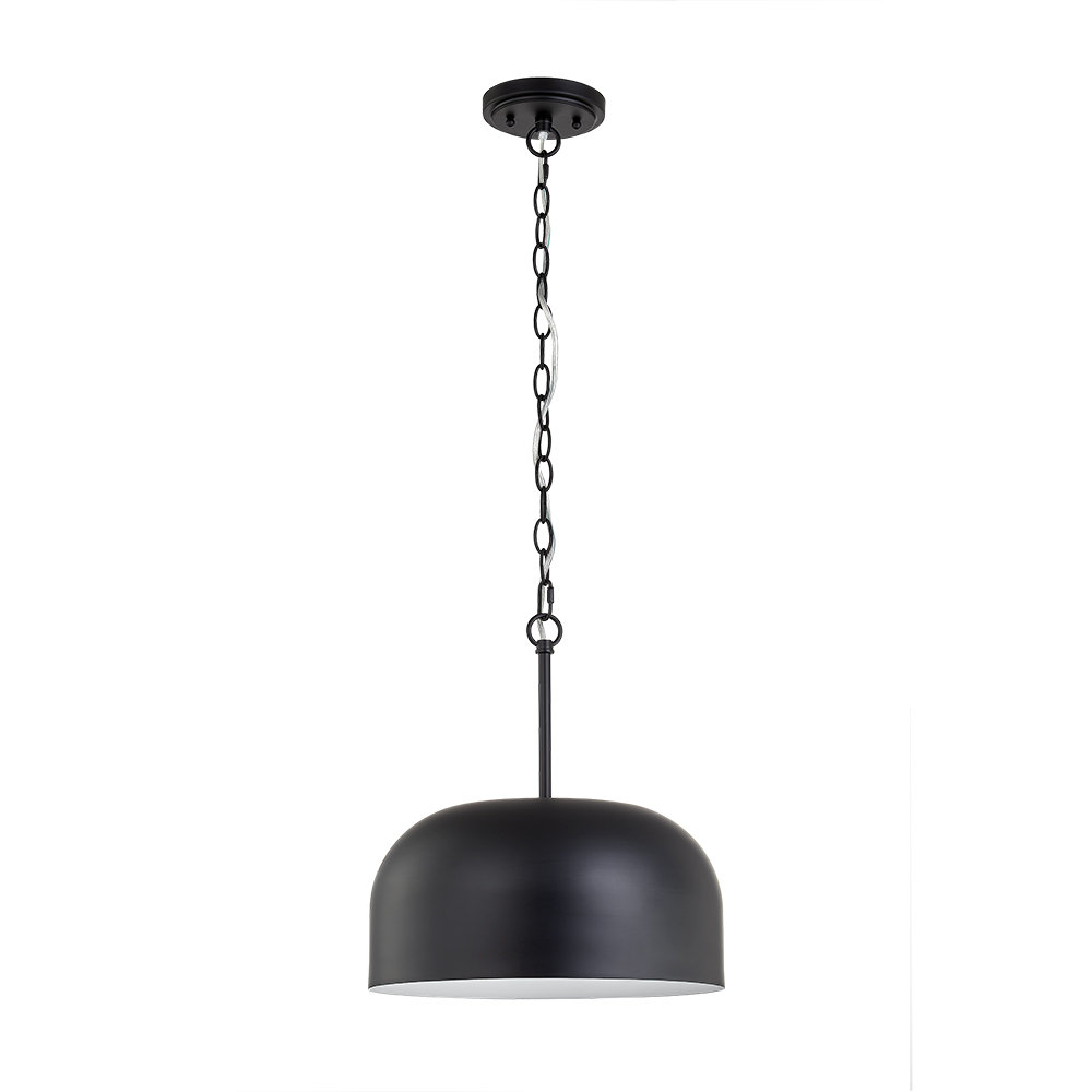 Troy Aldyn Pendant | Wayfair