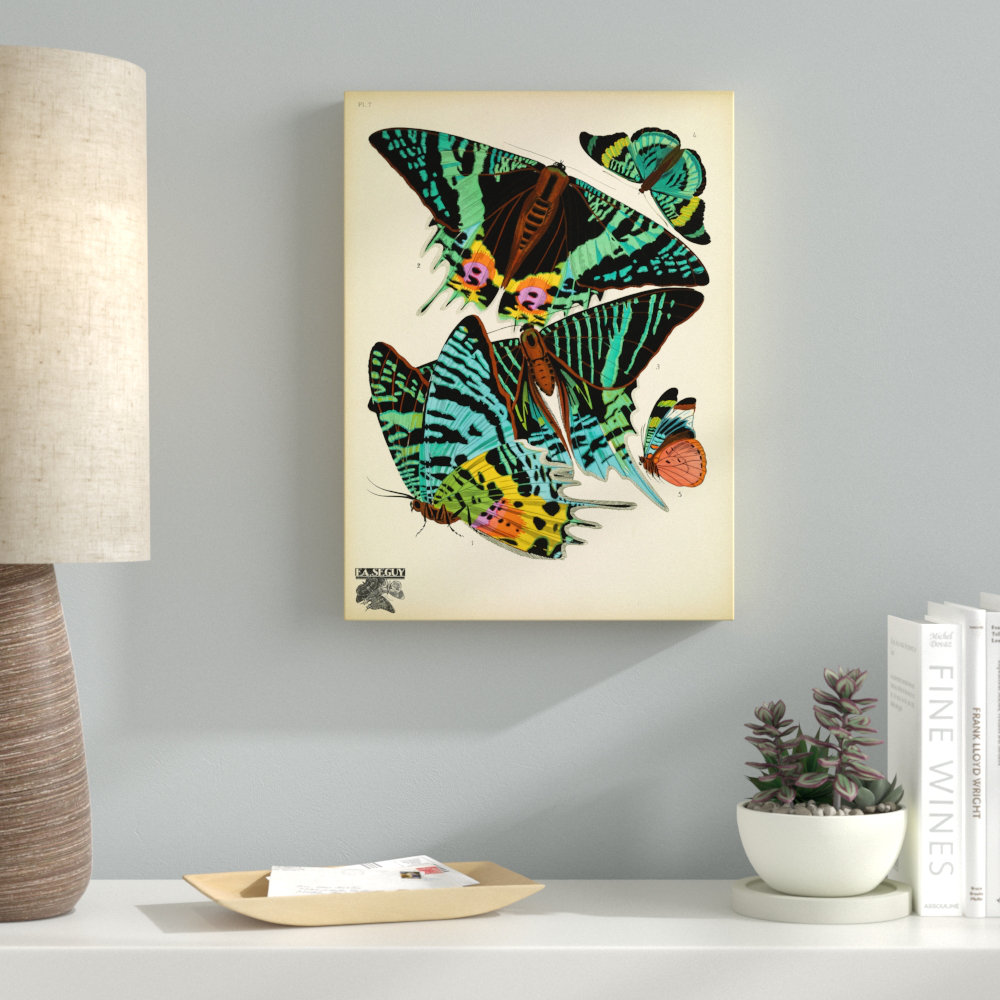 Latitude Run® Papillons 7 by Vintage apple Collection - Graphic Art ...