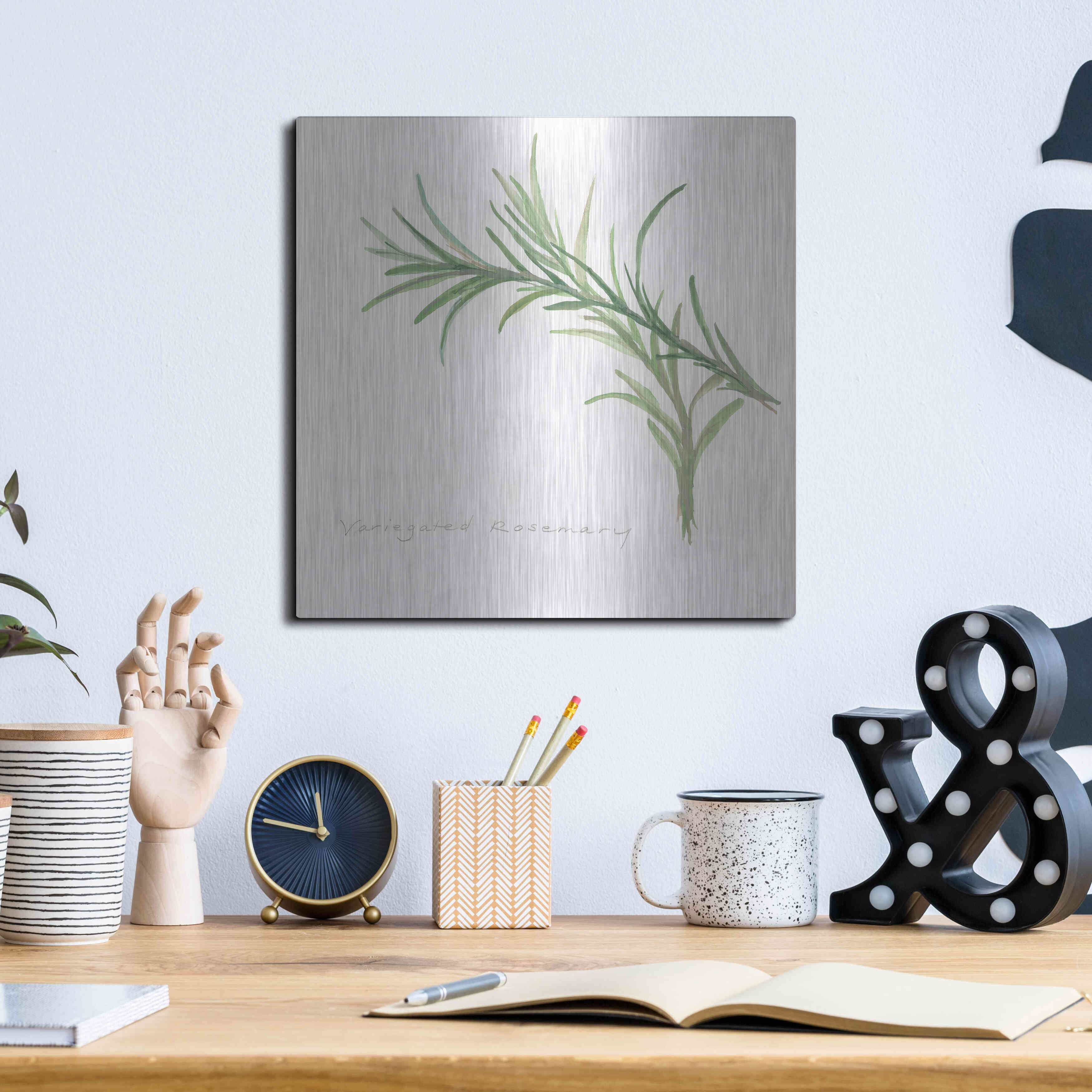 August Grove® " Variegated Rosemary " by Chris Paschke | Wayfair