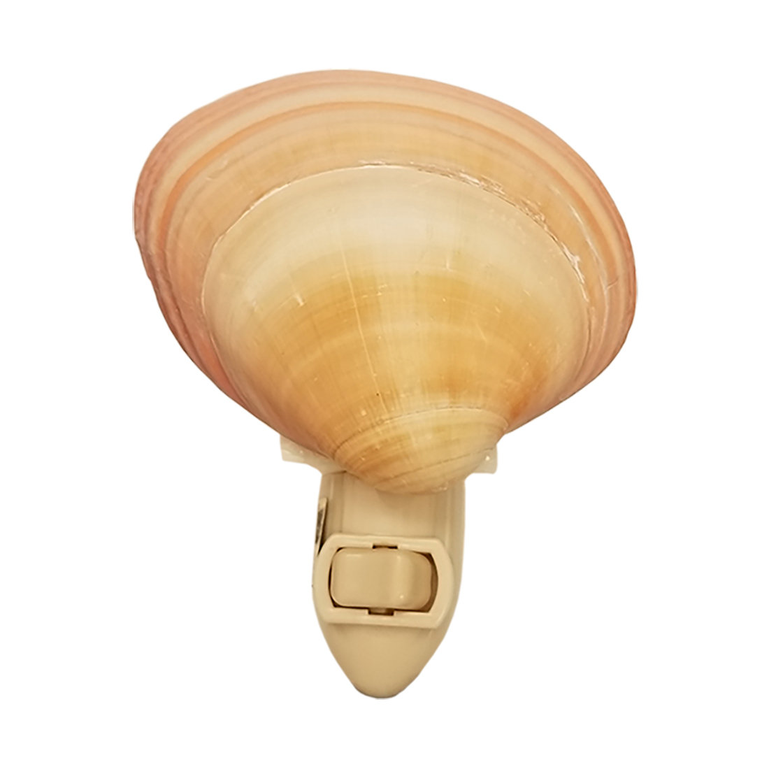 The Seashell Company Clam Shell LED Night Light | Wayfair