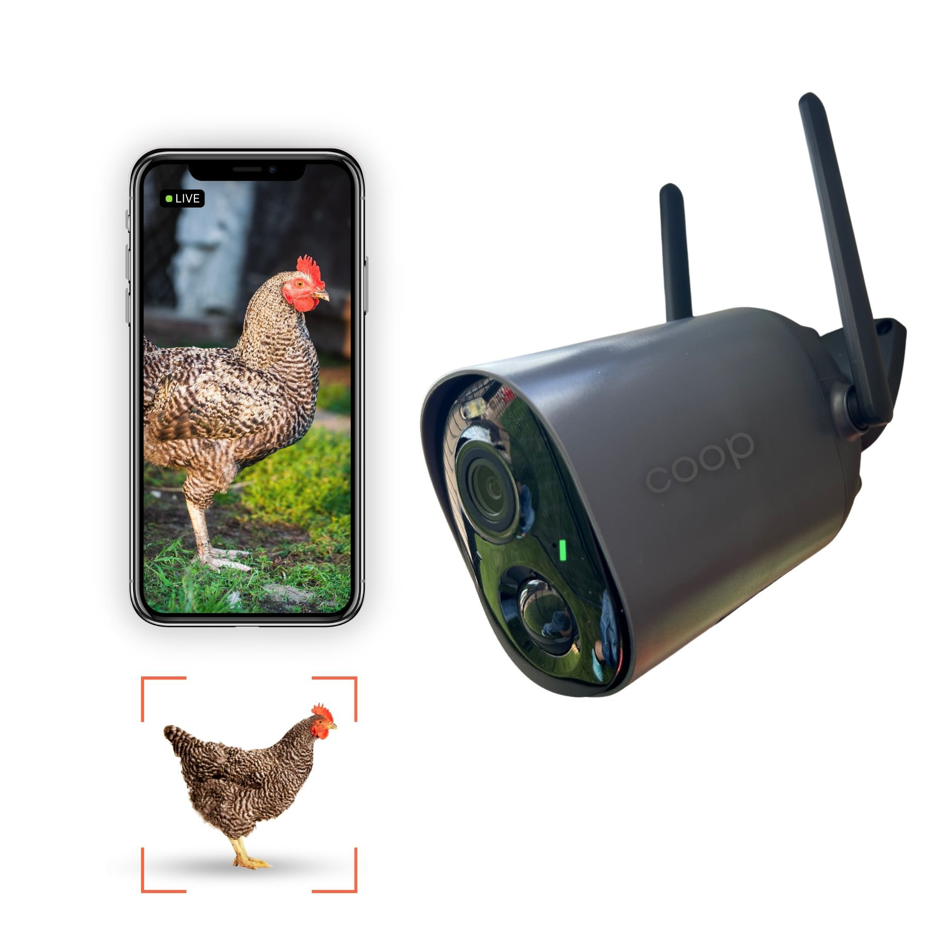 The Smart Coop Coop AI Smart Cam 1080p HD – Night Vision Security ...