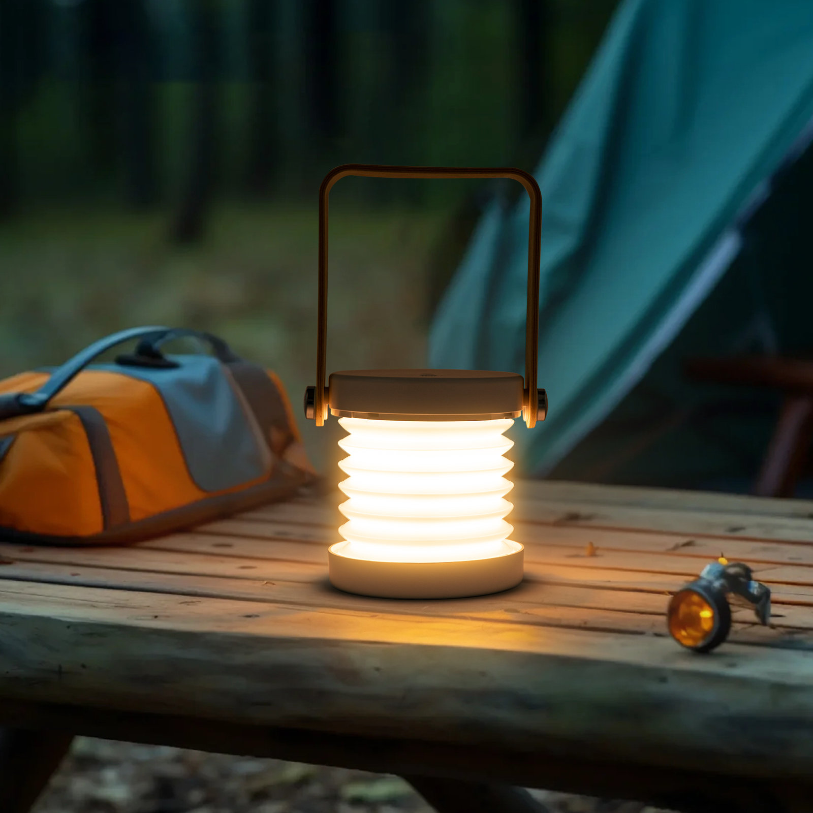 Ebern Designs Caslyn Rechargeable Portable Folding Night Light | Wayfair