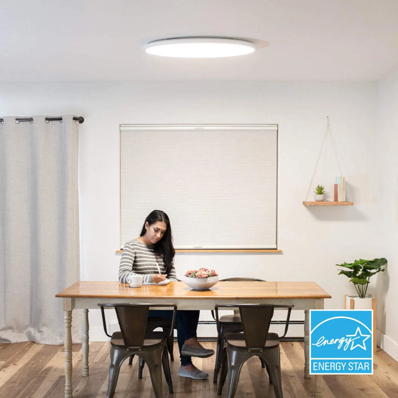 KODA 32" Slim Oval LED Ceiling Light with Adjustable White Color ...