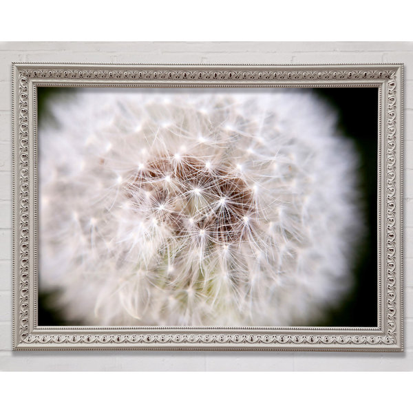 Bright Star Make A Wish - Single Picture Frame Art Prints | Wayfair.co.uk