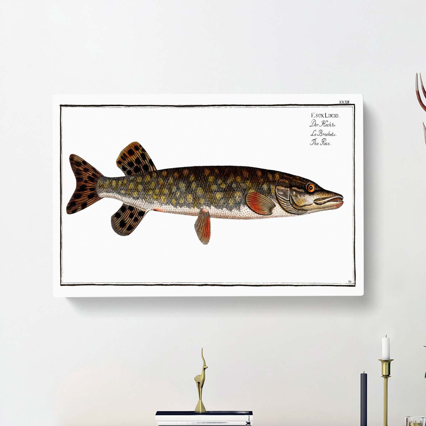 East Urban Home Pike Fish by M.E. Bloch - Wrapped Canvas Painting Print ...