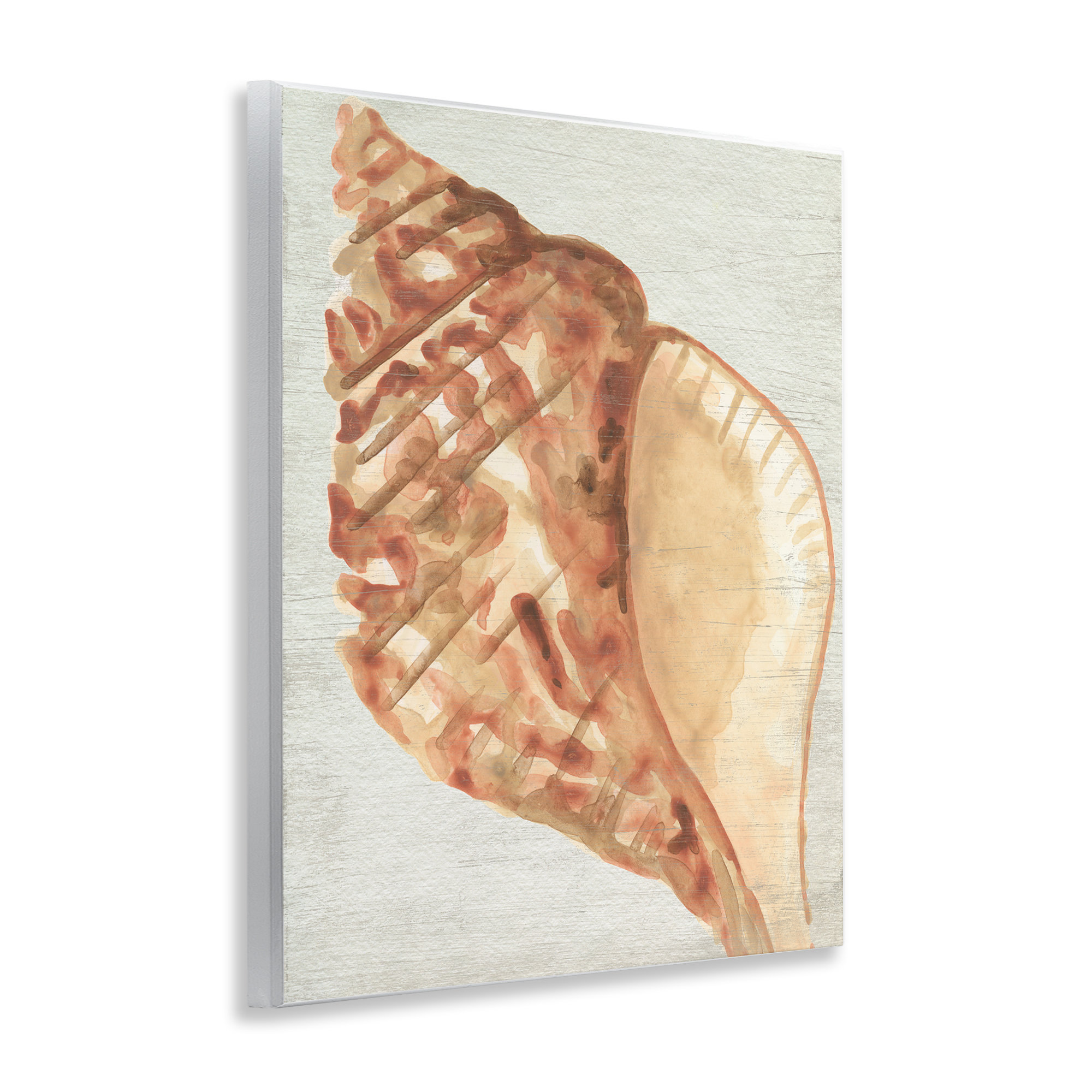 Highland Dunes Tan Conch Shell Wall Plaque Art by June Erica Vess | Wayfair