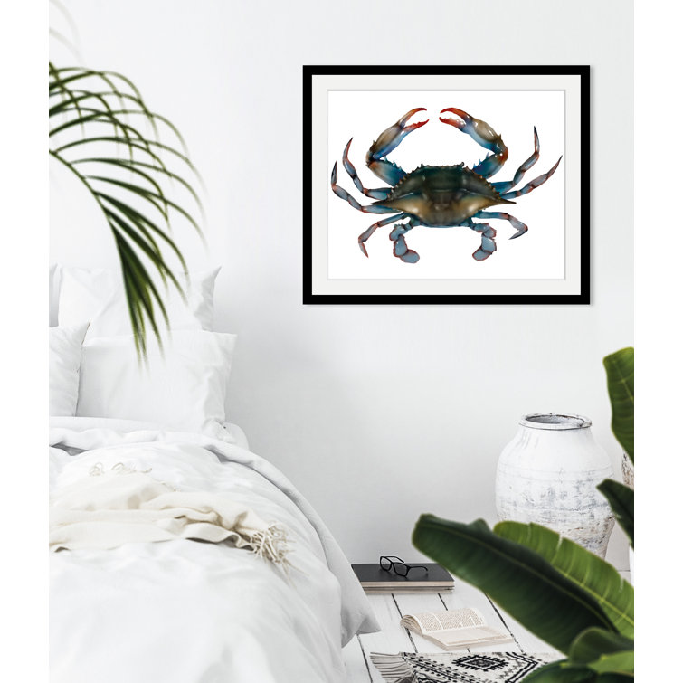 Ebern Designs Crab - Single Picture Frame Print | Wayfair.co.uk
