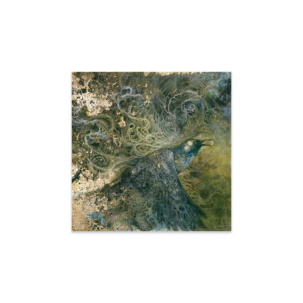 Winston Porter Raven III Print On Acrylic Glass - Wayfair Canada