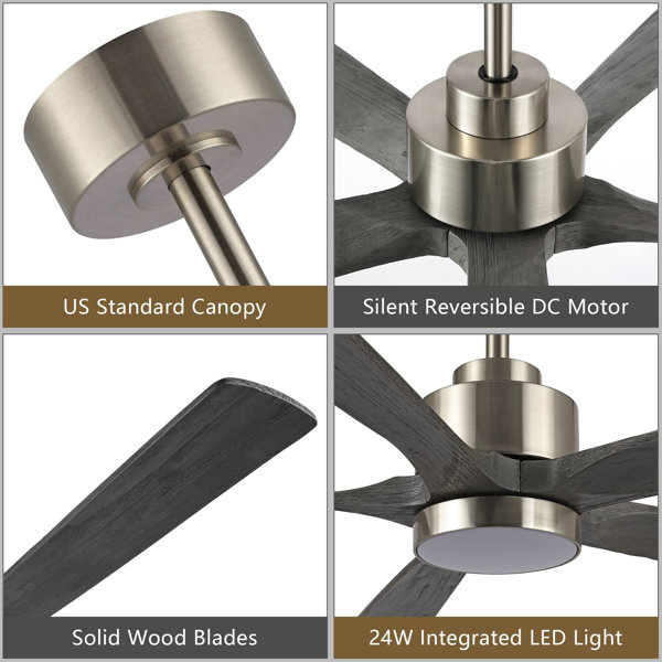 Hokku Designs Edgarda 60'' Ceiling Fan with LED Lights | Wayfair