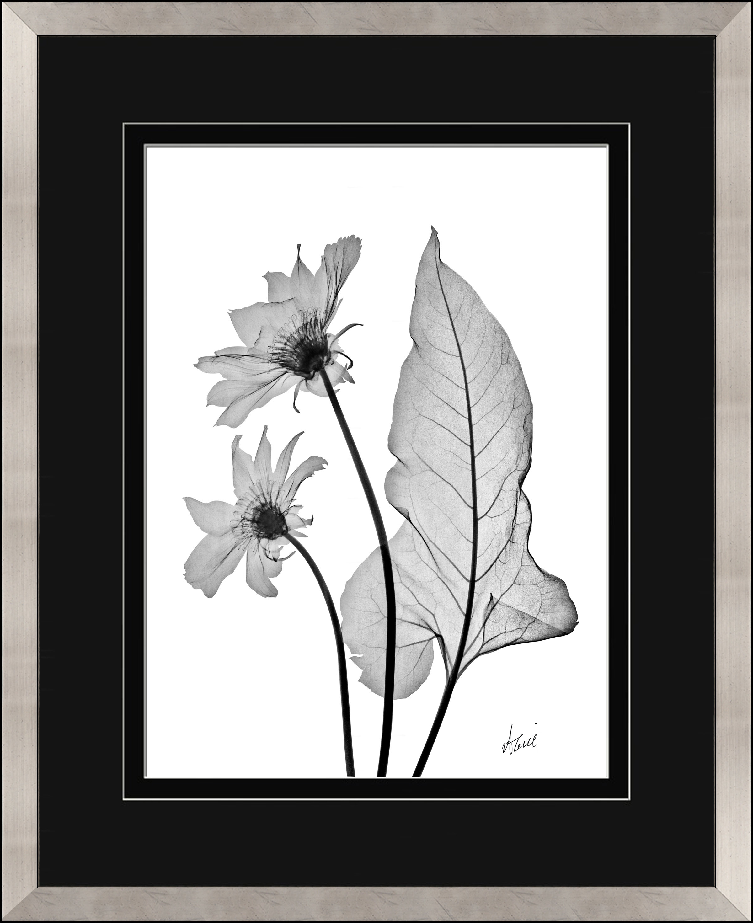 Wendover Art Group Arrow Leaf - Picture Frame Painting on Paper | Wayfair