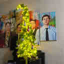 The Holiday Aisle® Fantastical "Grinch" Style Artificial Pre-Lit Tree ...