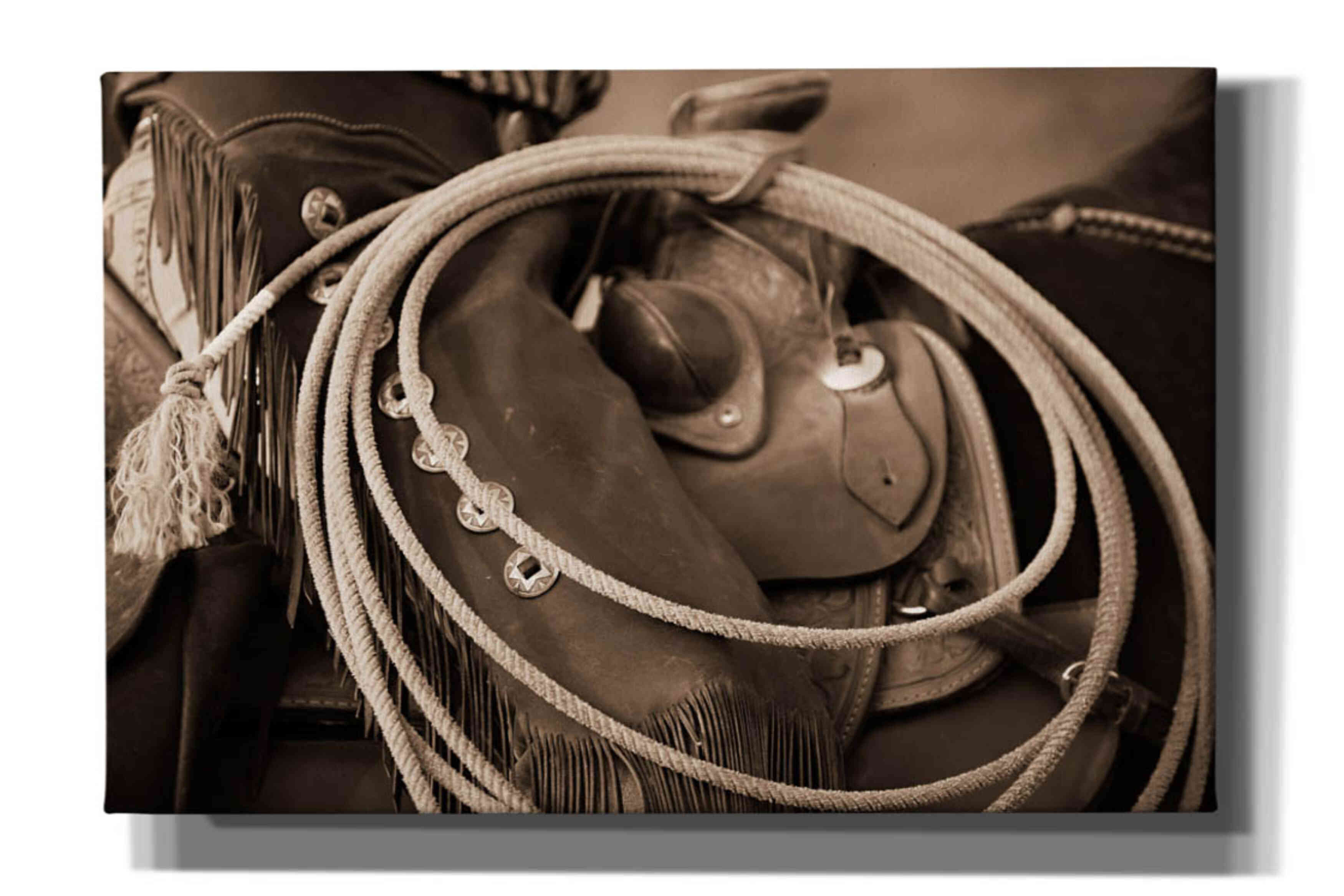 Union Rustic Epic Graffiti 'Cowgirls Lasso' By Lisa Dearing, Gi ...