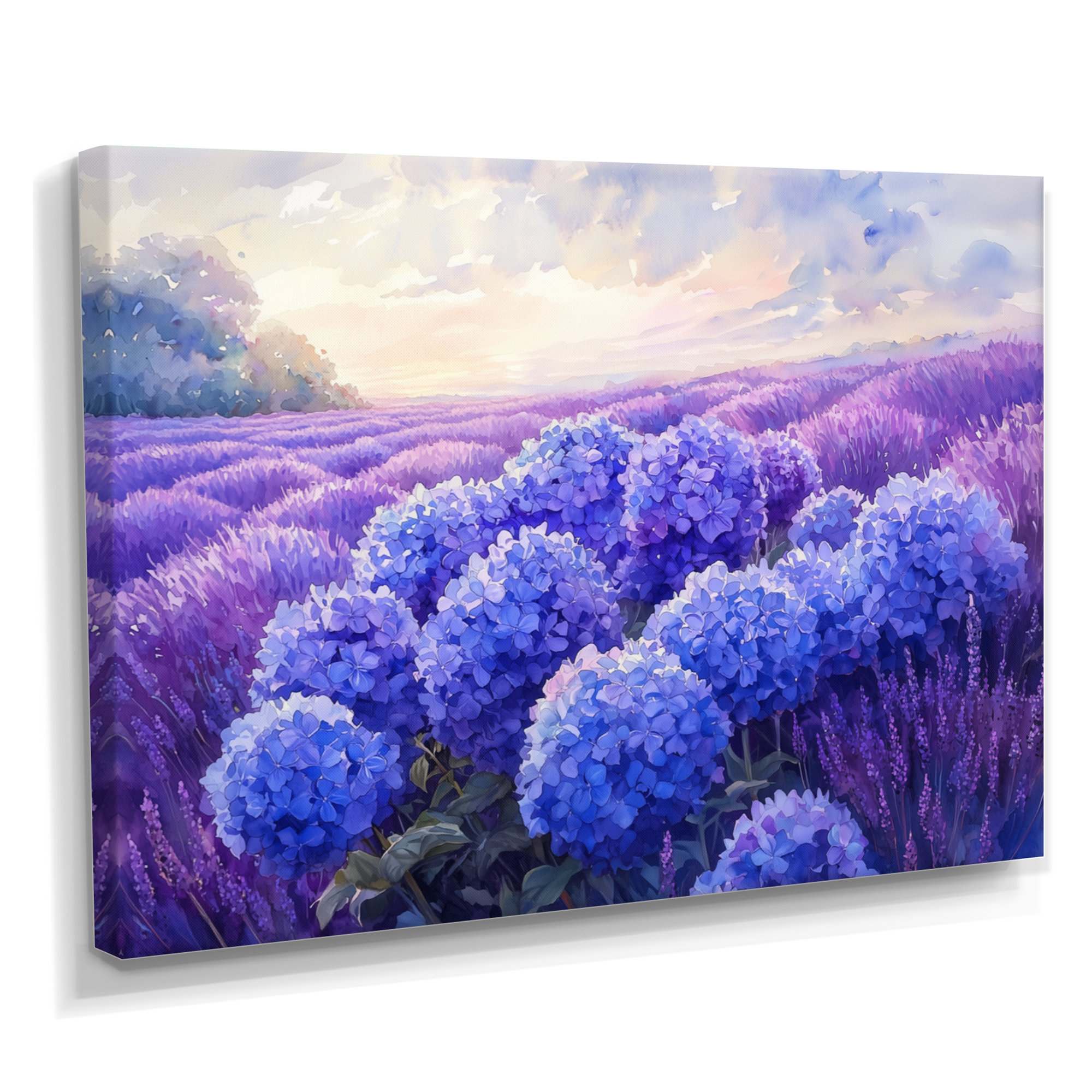 Ophelia & Co. Isabea Hydrangeas In The Lavender Field III - Hydrangea ...