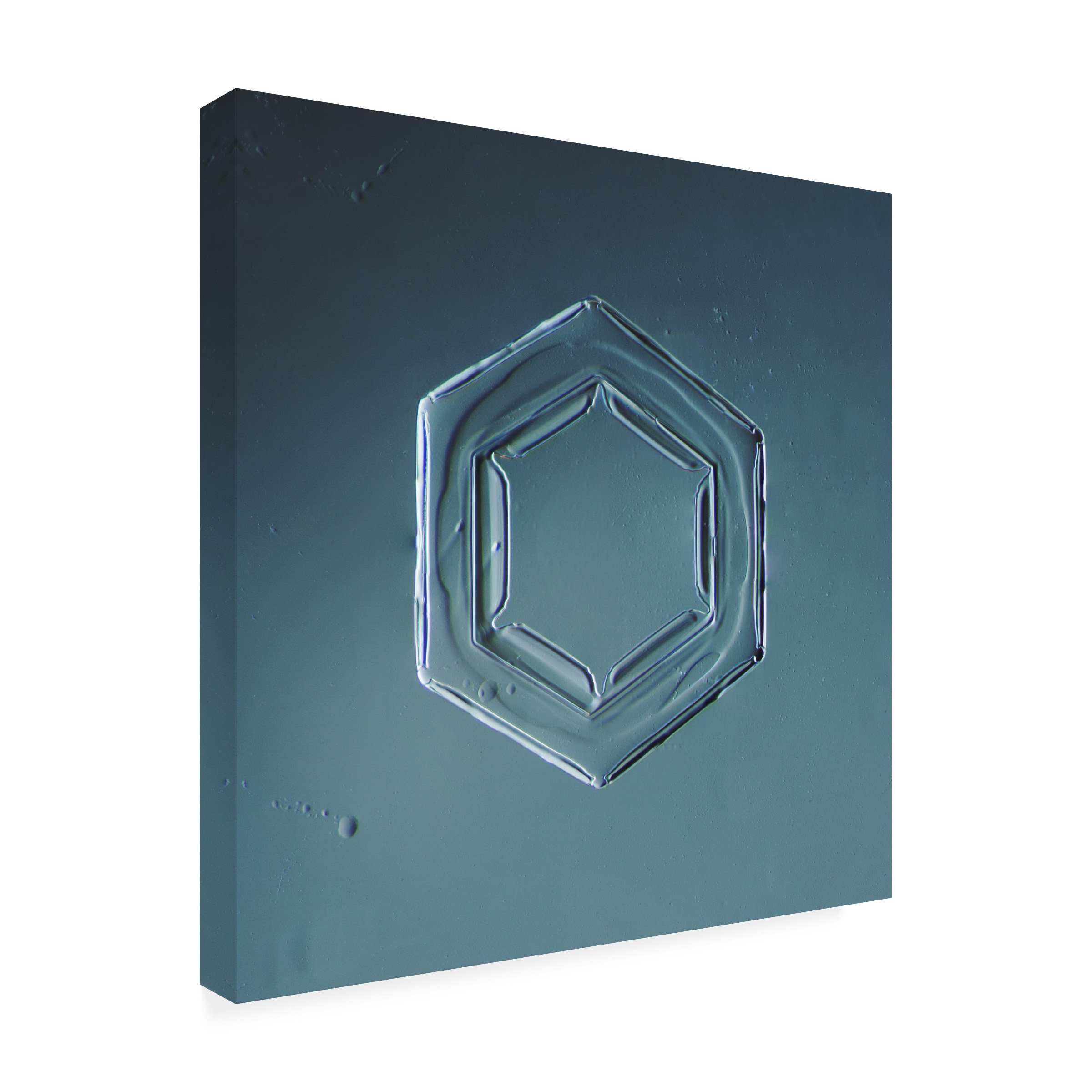 Ebern Designs Hexagonal Plate Snowflake 3 On Canvas by Print Collection ...