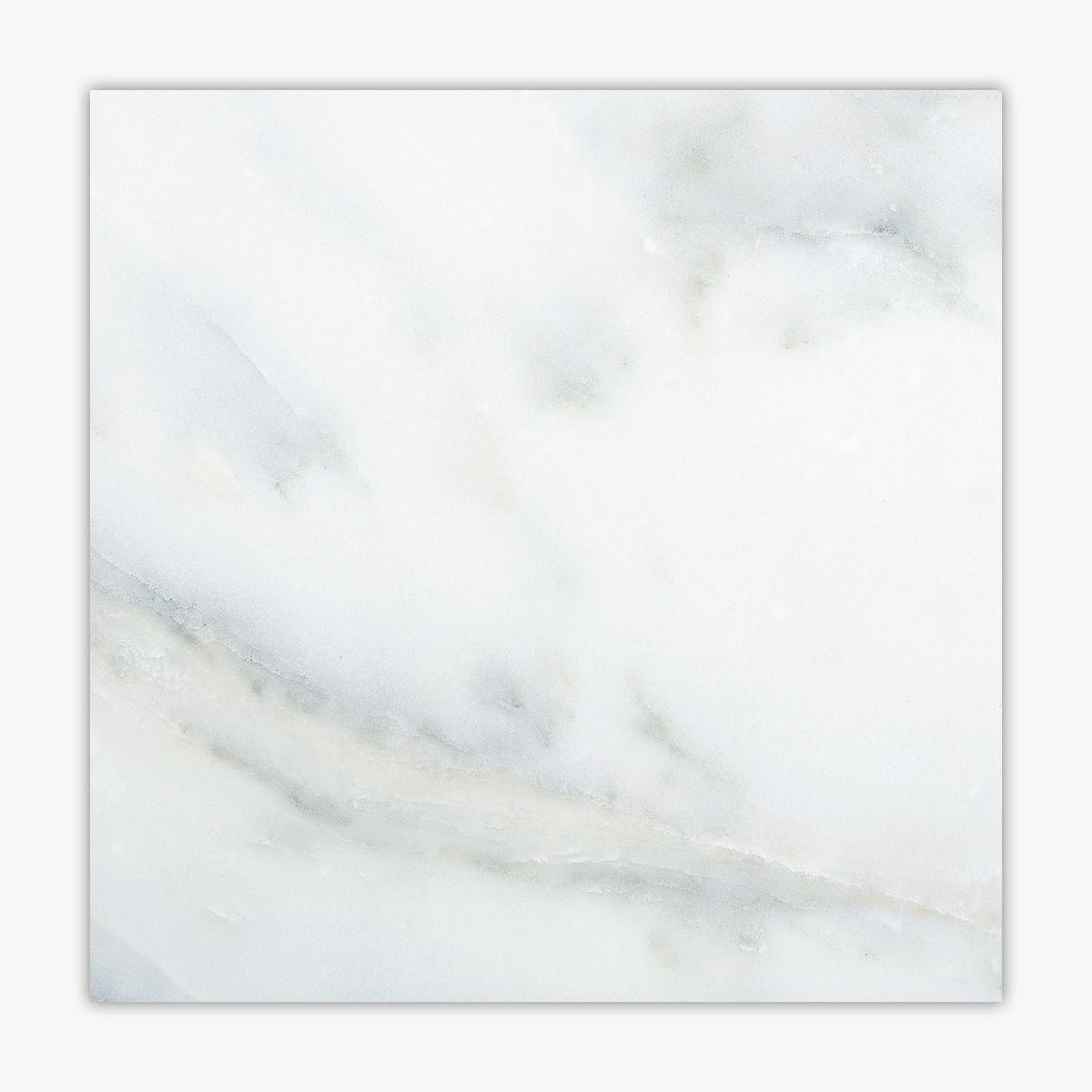 Direct Stone Source Calacatta 18" x 18" Marble Wall & Floor Tile | Wayfair