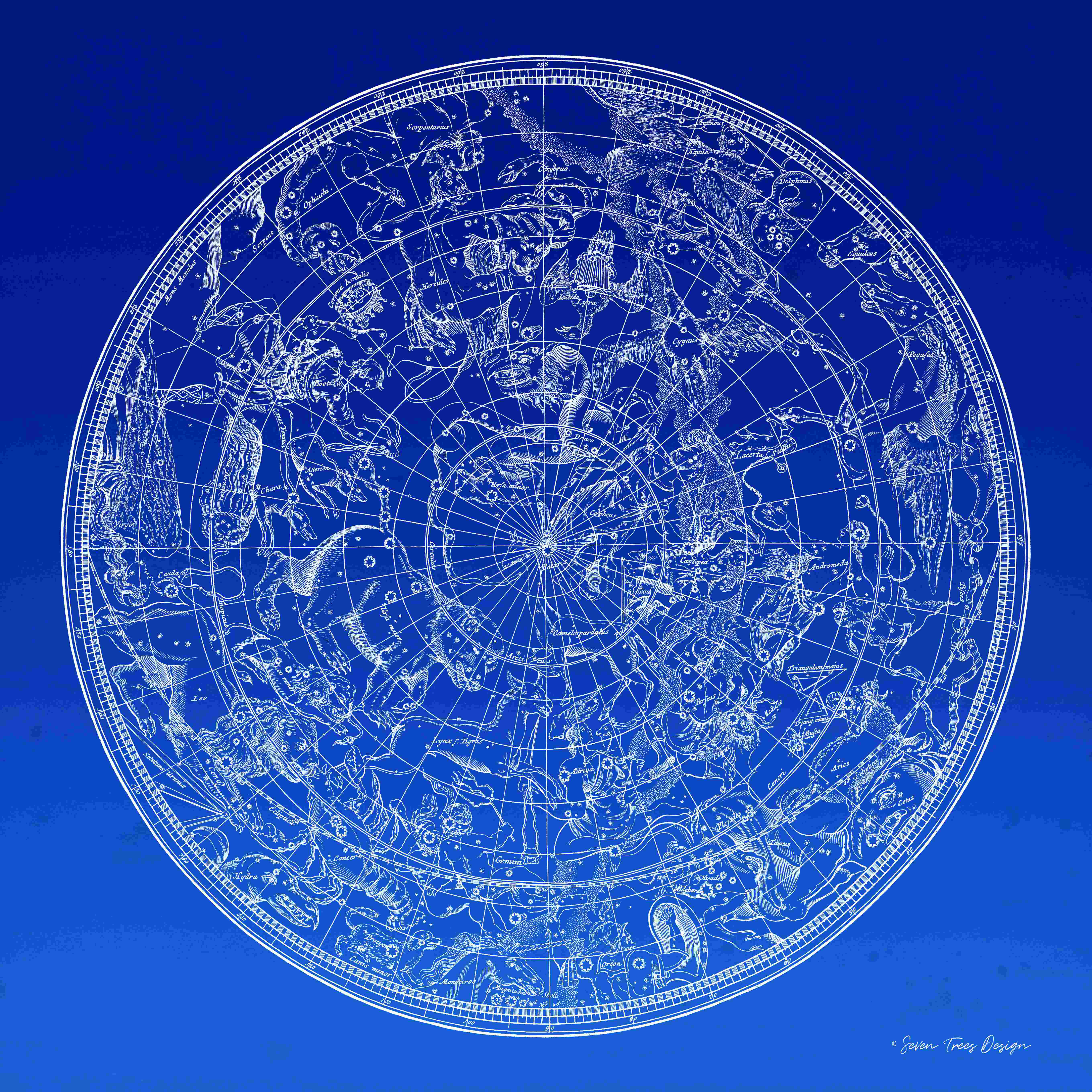17 Stories Constellations Map II by Seven Trees Design - Wrapped Canvas ...
