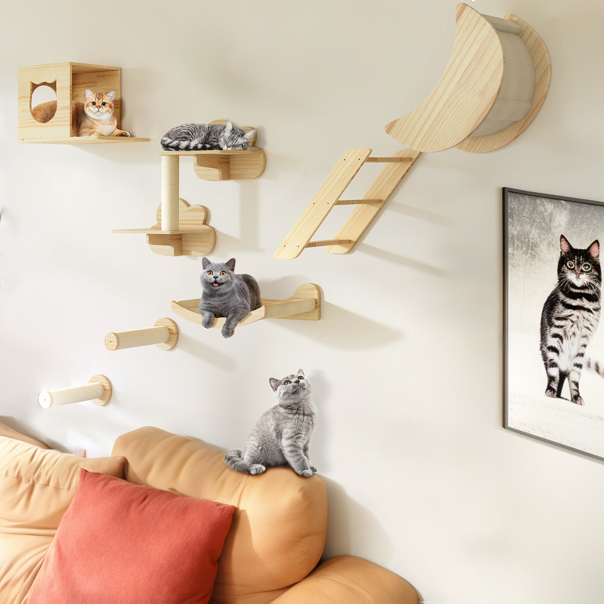 Tucker Murphy Pet™ Ellaree Cat Wall Shelves & Perches | Wayfair