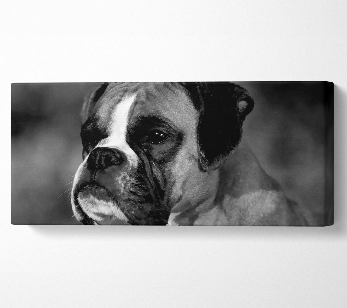Ebern Designs Boxer Beauty - Wrapped Canvas Art Prints | Wayfair.co.uk
