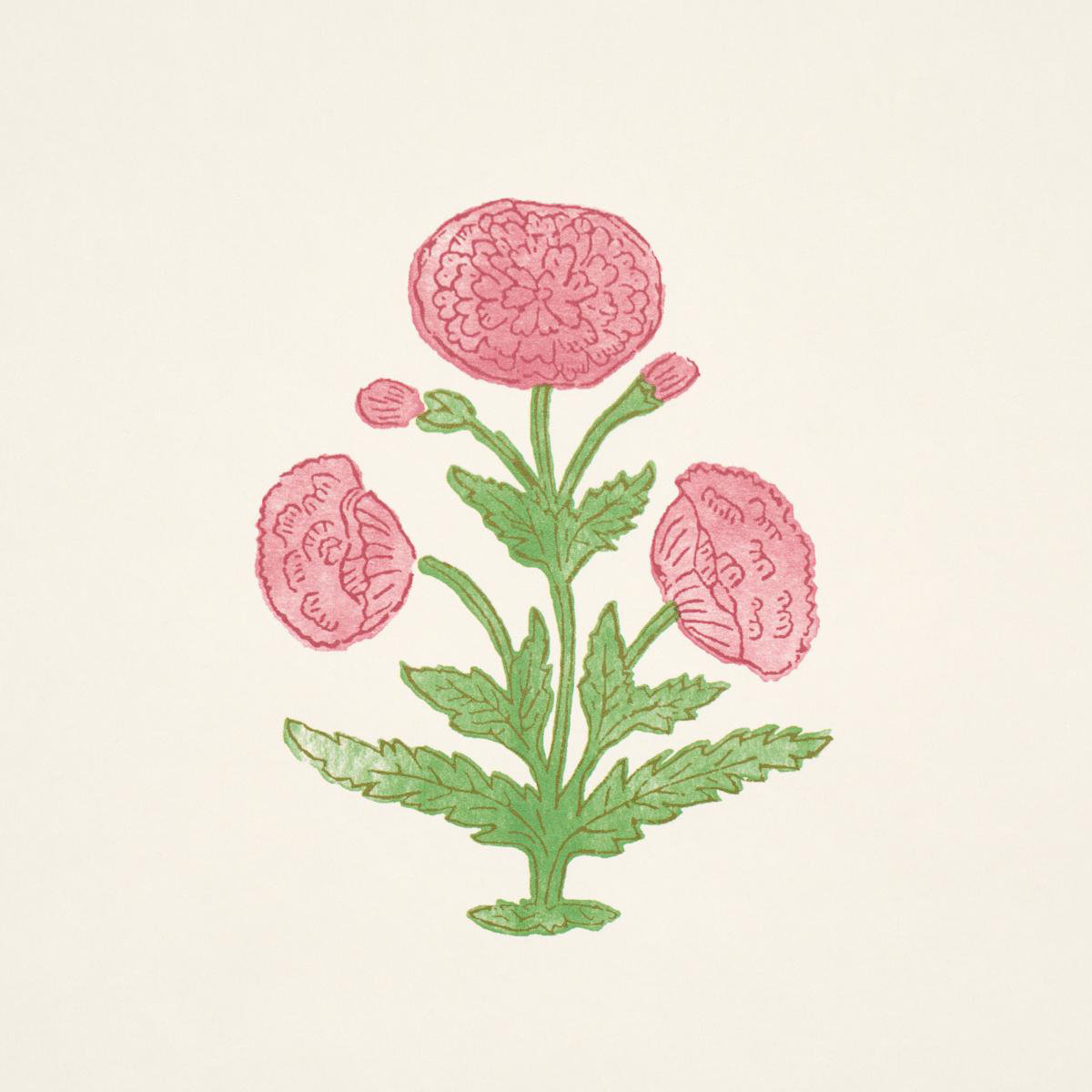 Schumacher X Molly Mahon Poppy Print Wallpaper | Perigold
