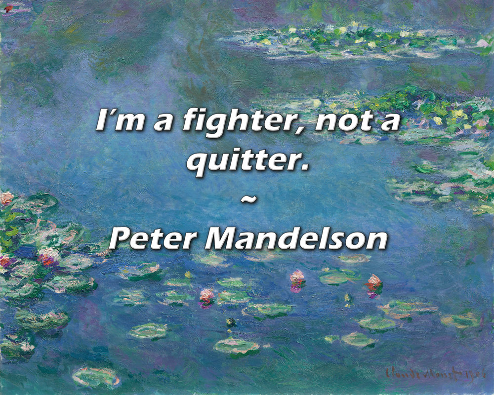 Trinx Peter Mandelson Quote: I’m a fighter, not a quitter. | Wayfair