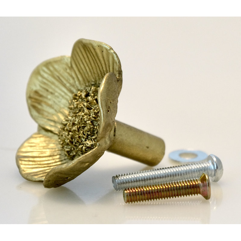 Charleston Knob Company Flower Knob in Antique Gold finish | Wayfair