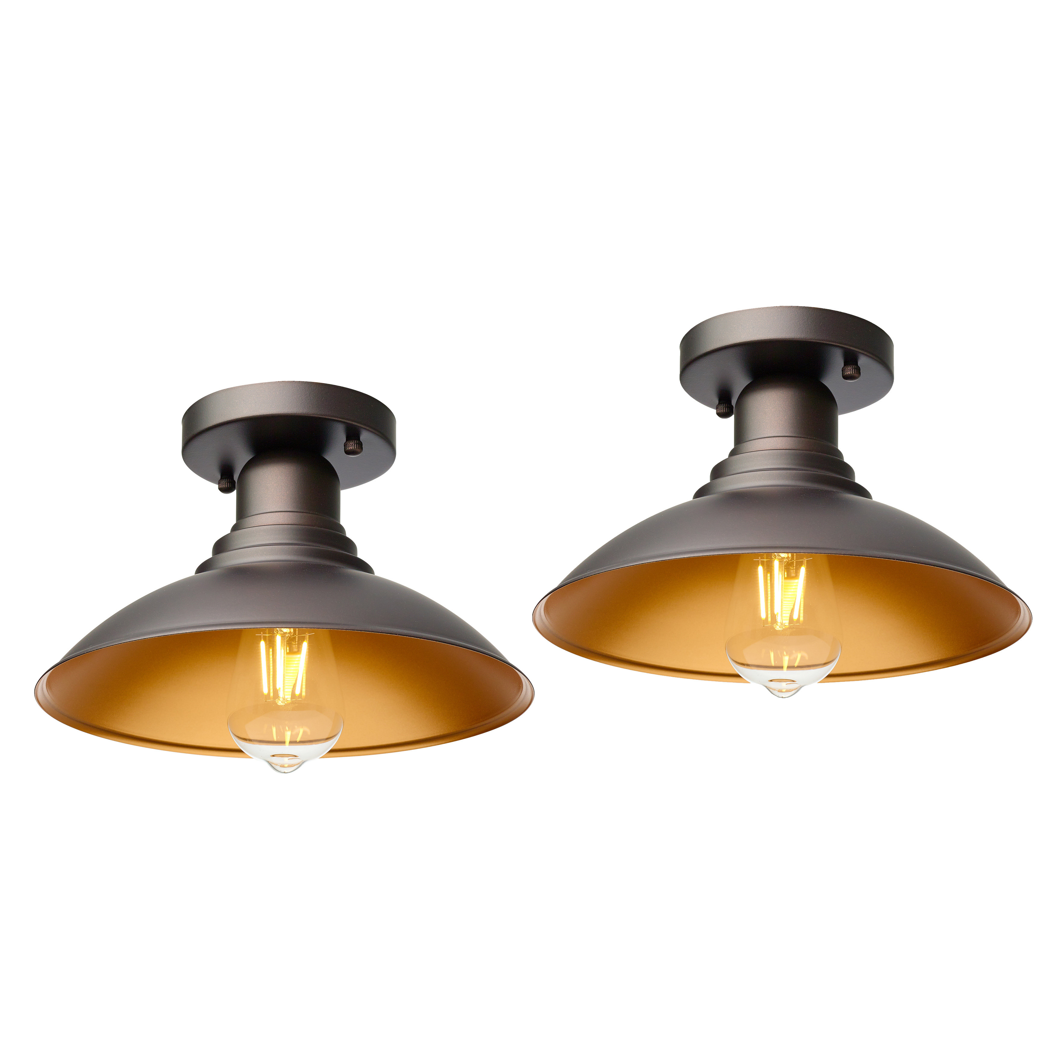 House of Hampton® Ceiling Light Fixture | Wayfair