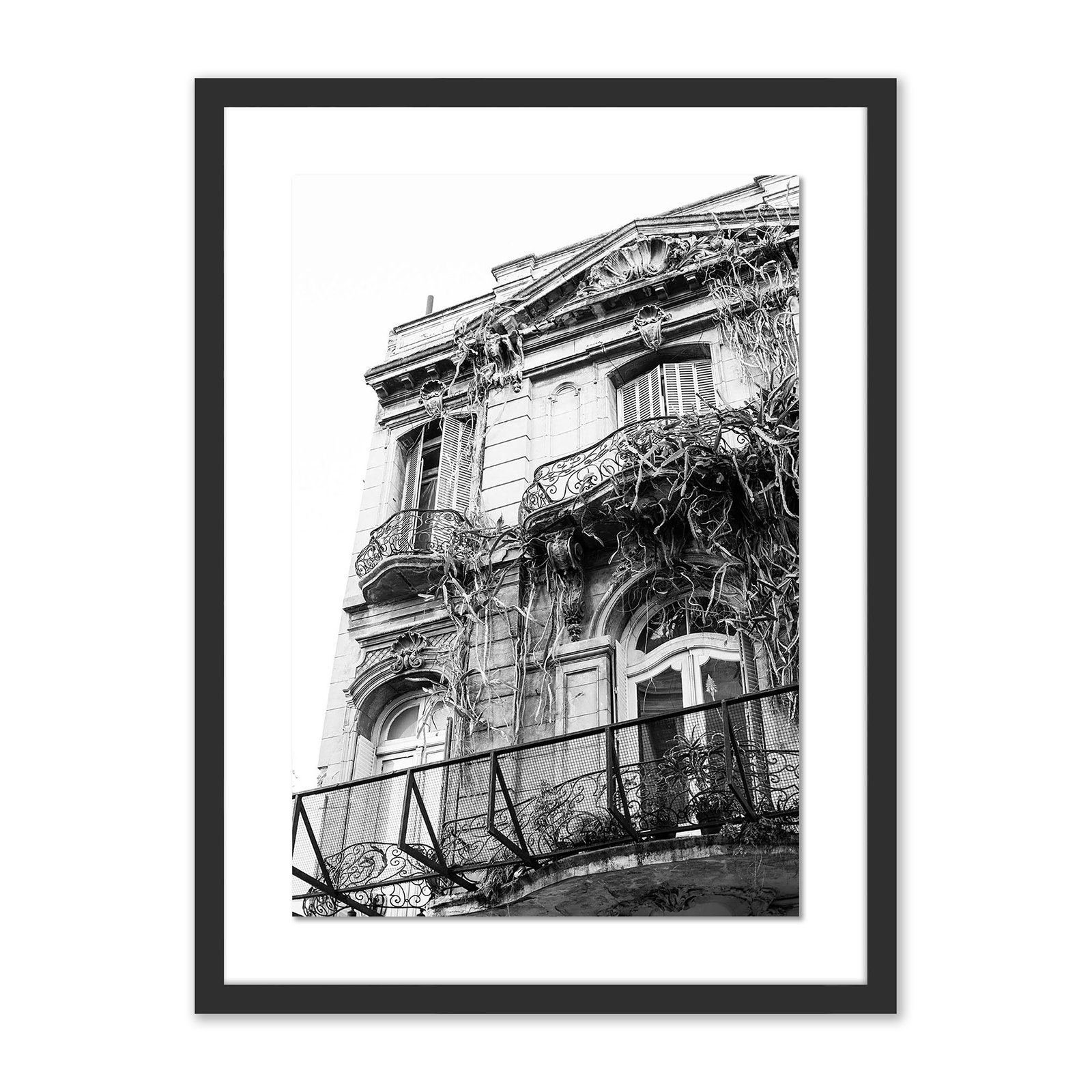 Four Hands Art Studio « regrowy » par erica singleton-cadre photo ...