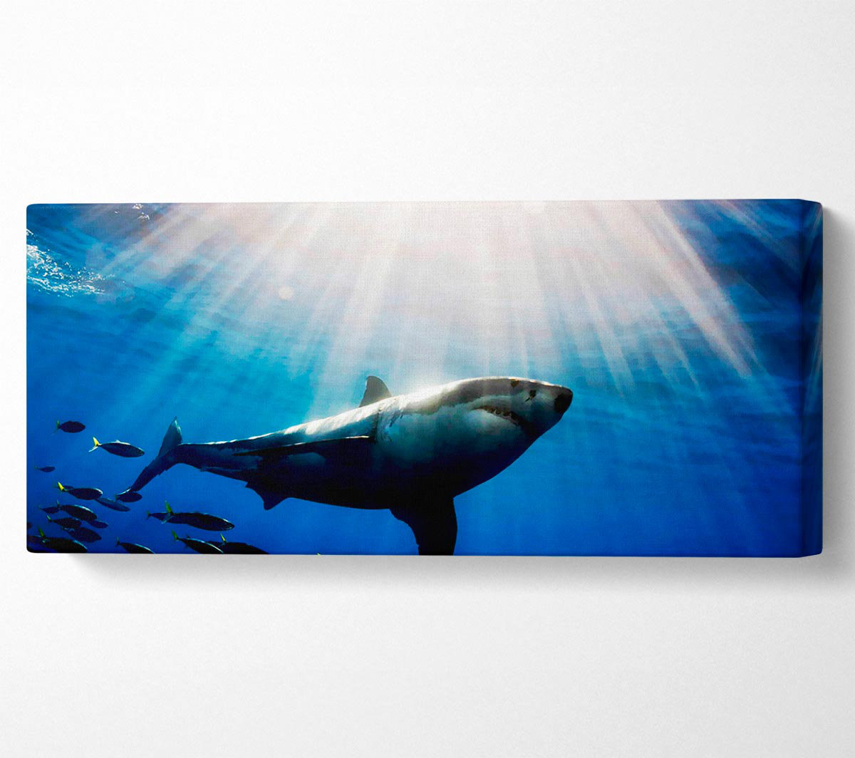Highland Dunes Shark In A Blaze Of Sunlight Panoramic Canvas | Wayfair ...