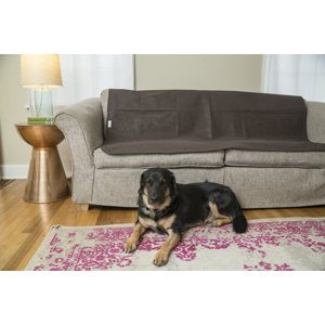 Pet Parents® Pet Repeller Mat, Cat & Dog Deterrent Mat & Reviews | Wayfair