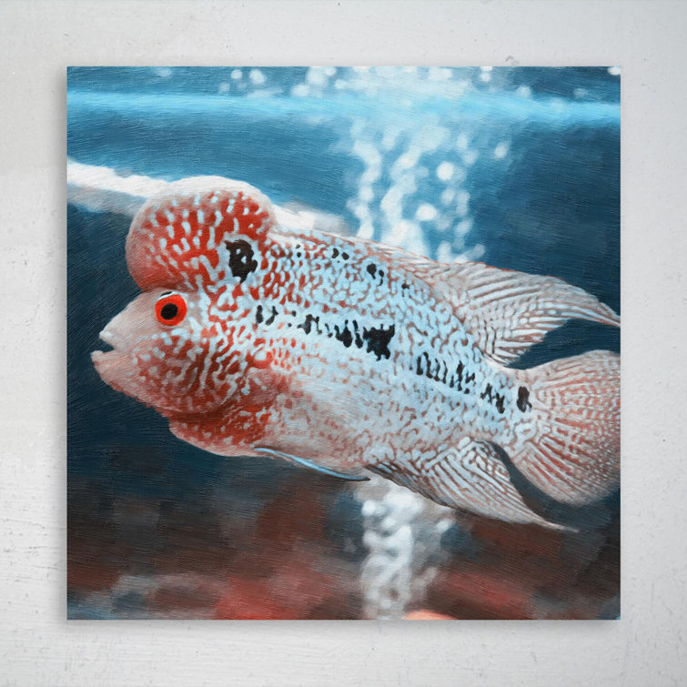 Rosecliff Heights Red And Blue Flowerhorn - 1 Piece Square Graphic Art ...