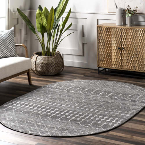Oval Area Rugs You'll Love | Wayfair