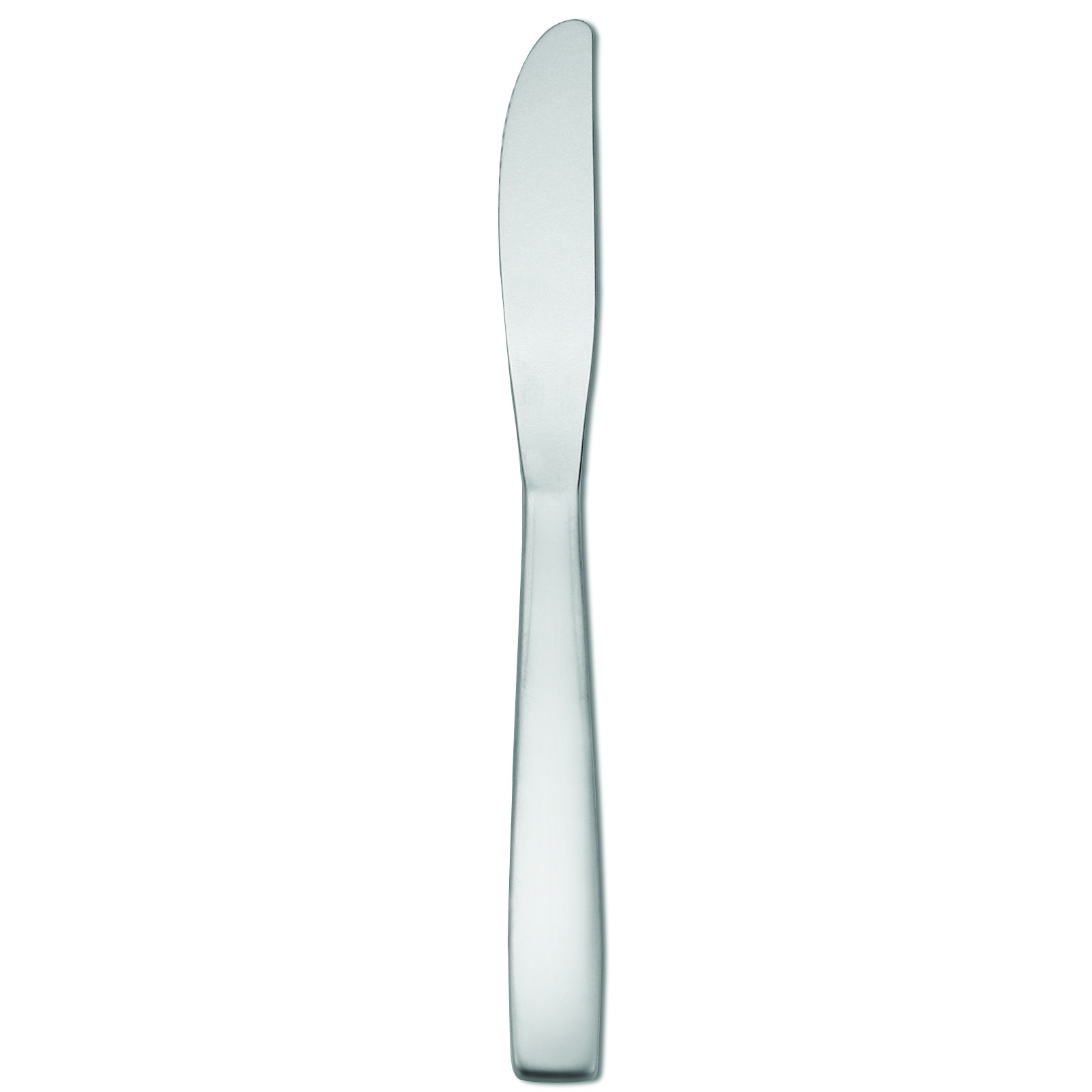 Oneida Rio Dinner Knives by Oneida (18/10) | Wayfair