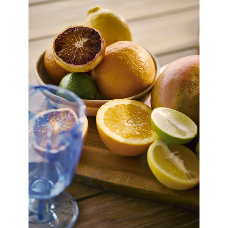 Joss & Main Zigler 14 oz. Acrylic Goblet & Reviews | Joss & Main