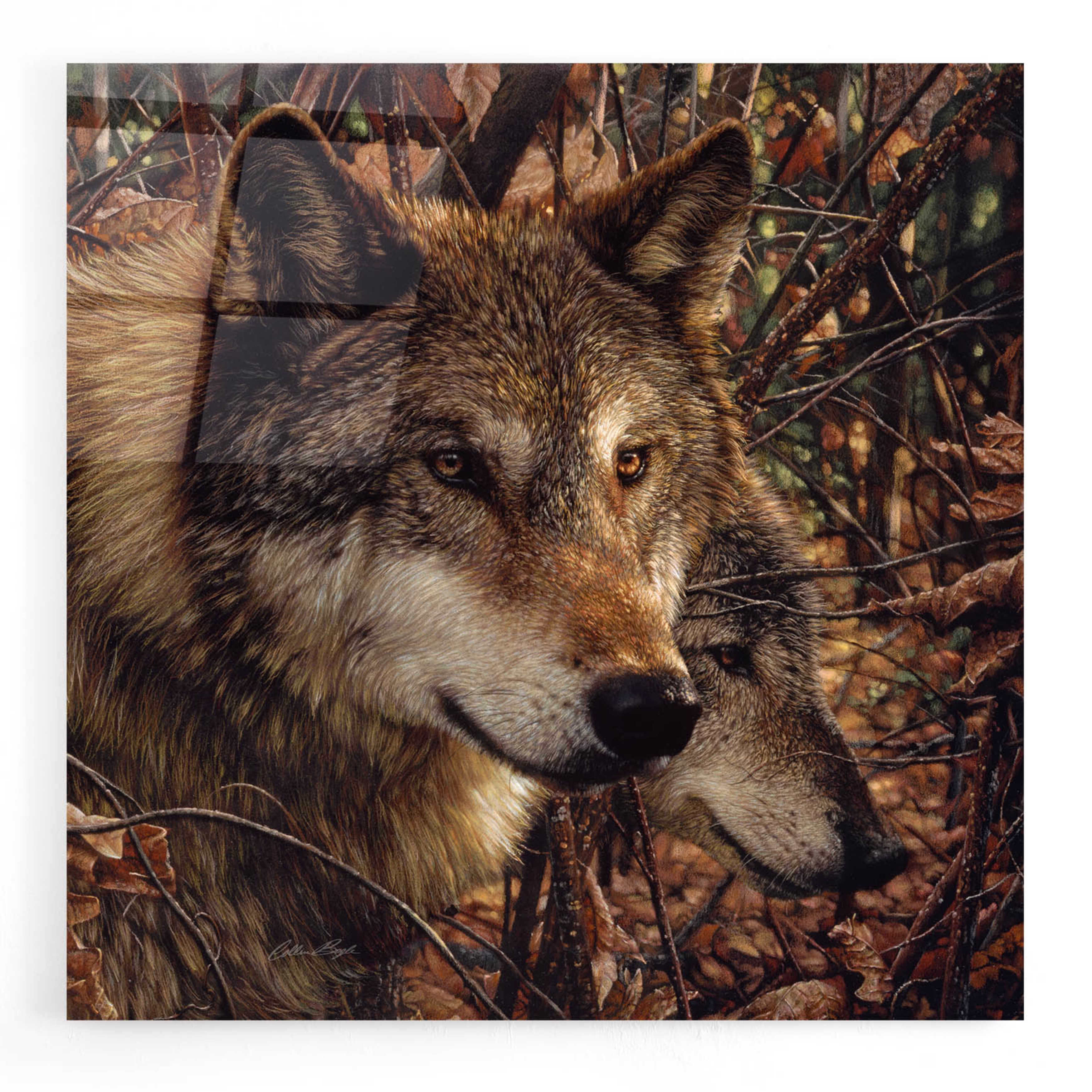 Millwood Pines Colors Of Autumn by Collin Bogle - Unframed Print | Wayfair