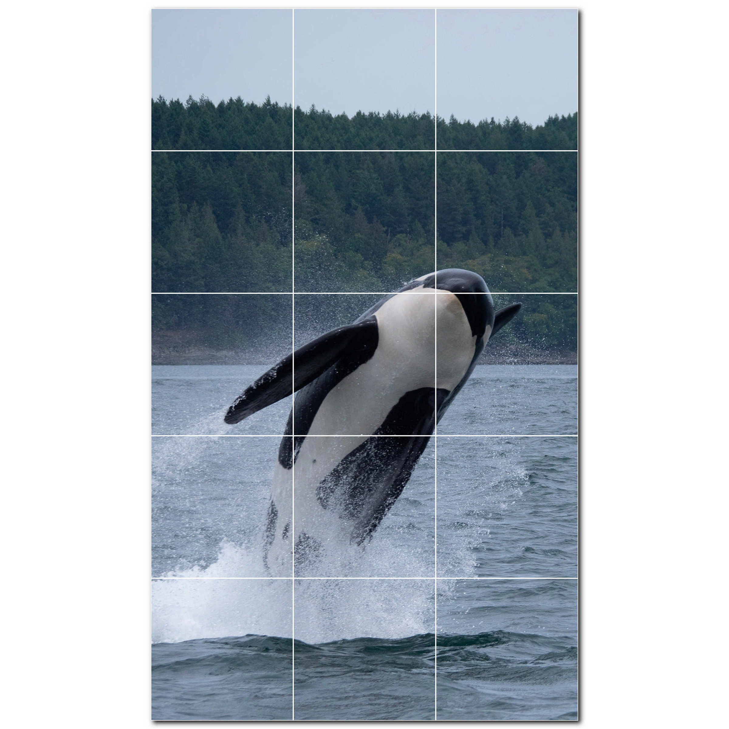 Picture-Tiles.com 18" x 30" Ceramic Whale Photo Decorative Mural Tile ...