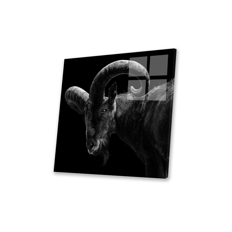 Ebern Designs East Caucasian Tur In Black & White On Plastic/Acrylic by ...