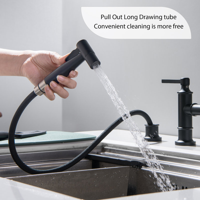 Homein Pull Out Double Handle Kitchen Faucet with Side Spray | Wayfair