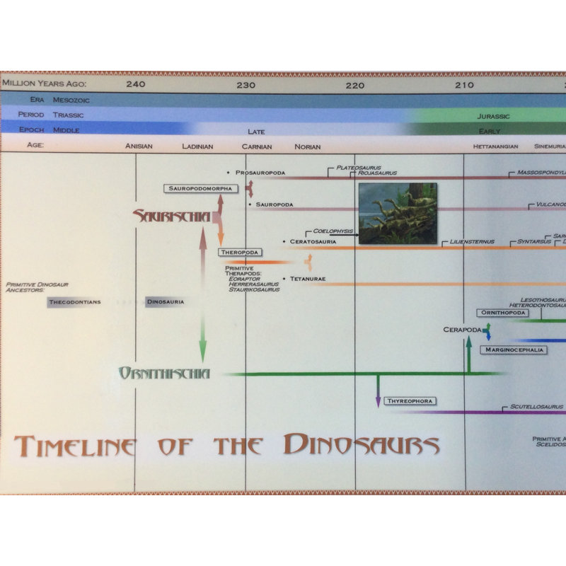 Trinx Timeline of the Dinosaurs Poster | Wayfair