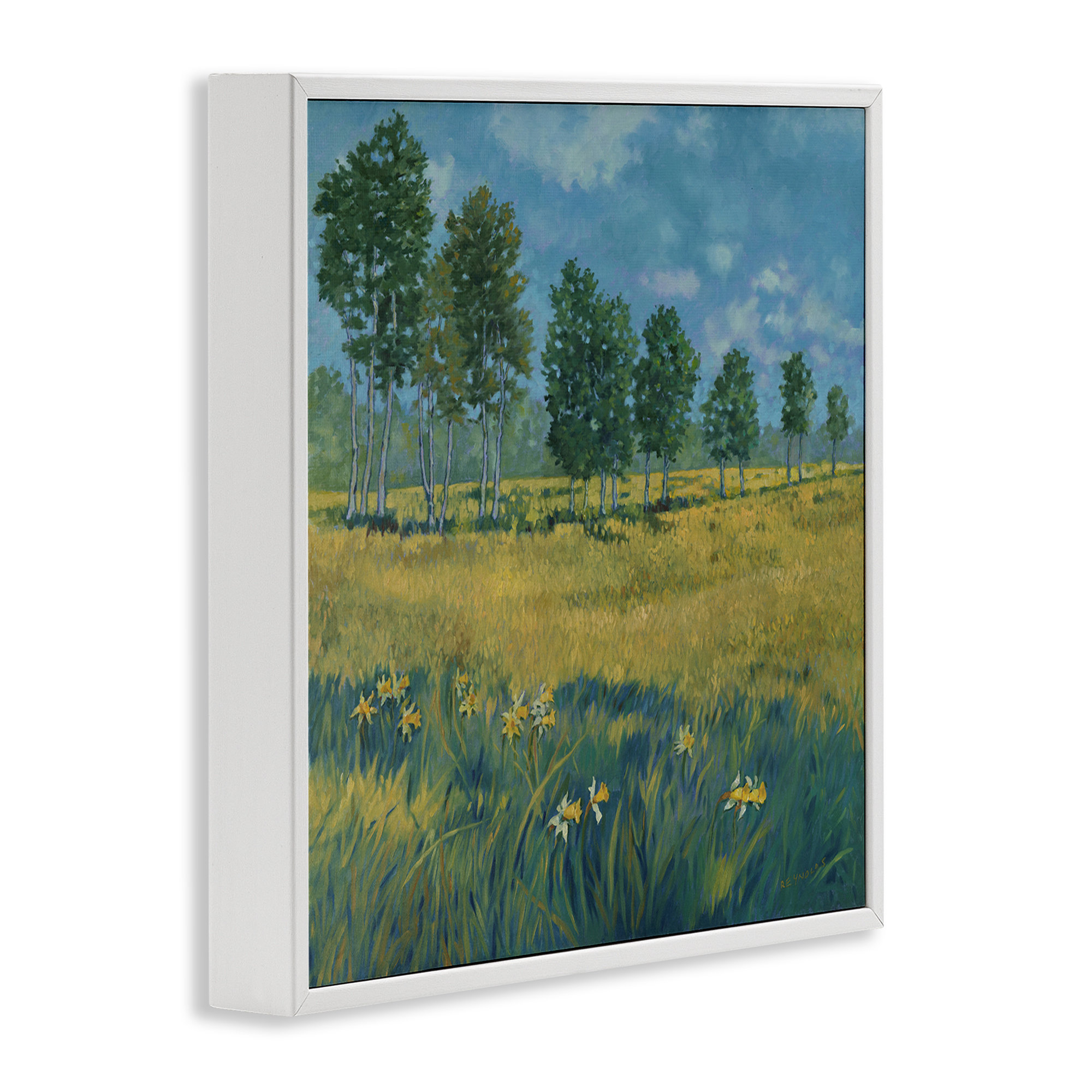 Stupell Industries Daffodil Field Landscape Framed Giclee Art by Graham ...