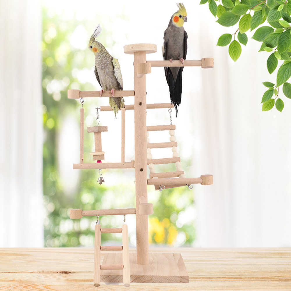 UMMA, LLC 21.2'' Wood Bird Play Gym for Table Top - Wayfair Canada