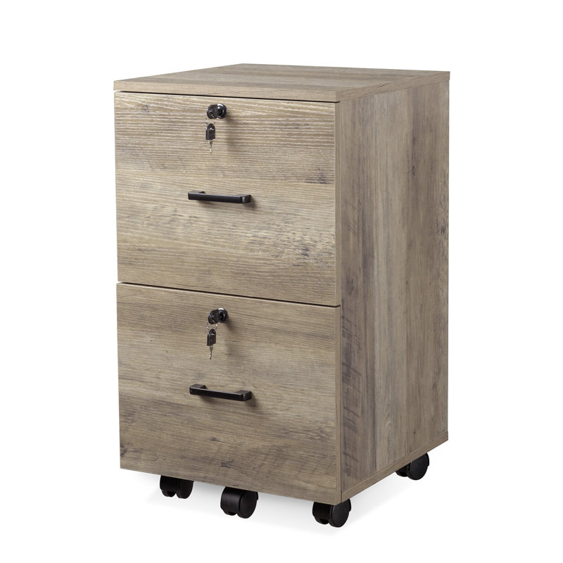 Wade Logan® Brandice 15.75'' Wide 2 -Drawer Mobile File Cabinet ...