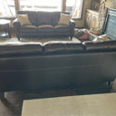 Lark Manor Ellard Genuine Leather Rolled Arm Sofa & Reviews | Wayfair