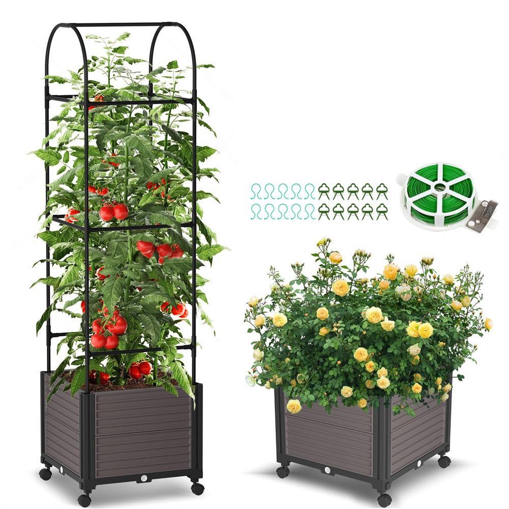 Arlmont & Co. Planters For Climbing Plants Vegetable Vine Flowers ...
