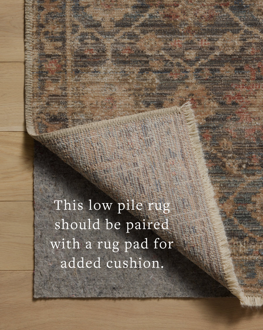 Amber Lewis x Loloi Molly Ocean / Sunset Area Rug & Reviews | Wayfair